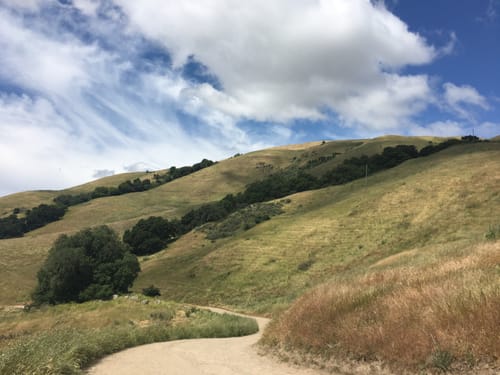 Best 10 Hikes and Trails in Mission Peak Regional Preserve | AllTrails