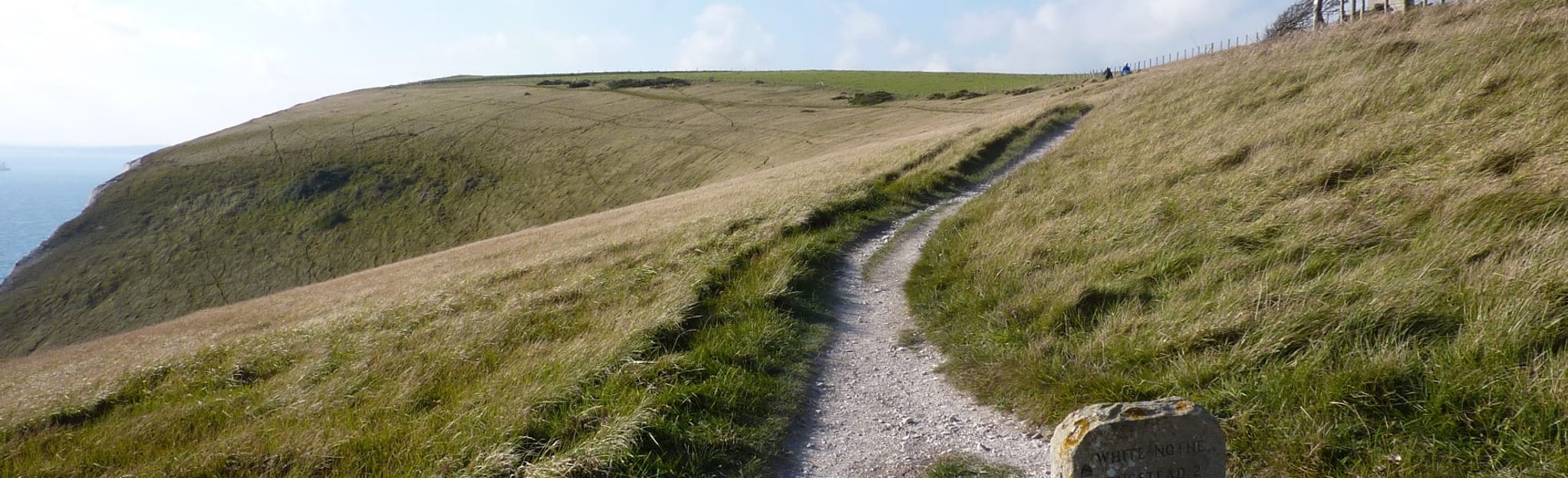 Daggers Gate Dorset Loop, Dorset, England - 13 Reviews, Map | AllTrails