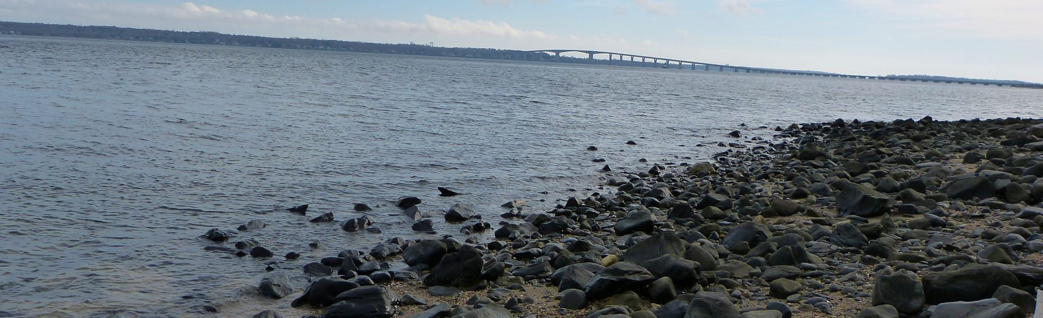 Narrow River Loop, Rhode Island - 35 Reviews, Map | AllTrails