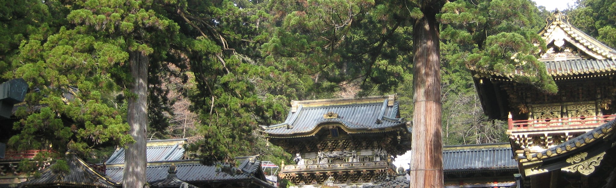 Nikko Toshogu Shrine | Mappa, Guida - Tochigi, Japan | AllTrails