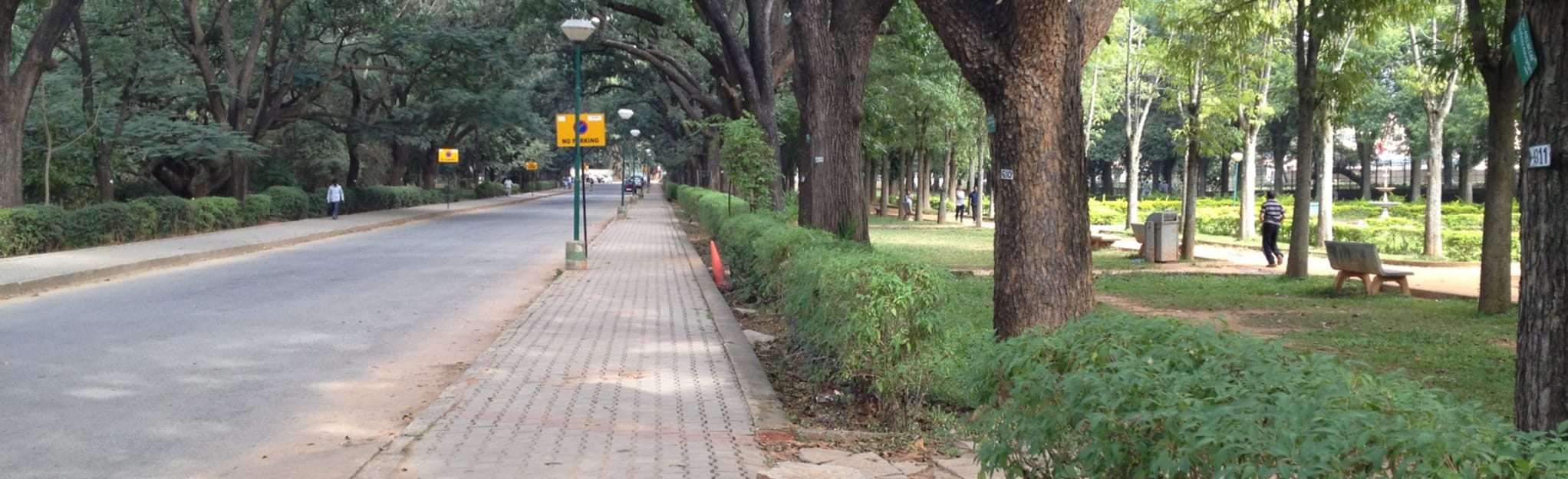 Cubbon Park Double Loop: 3 Reviews, Map - Karnataka, India | AllTrails