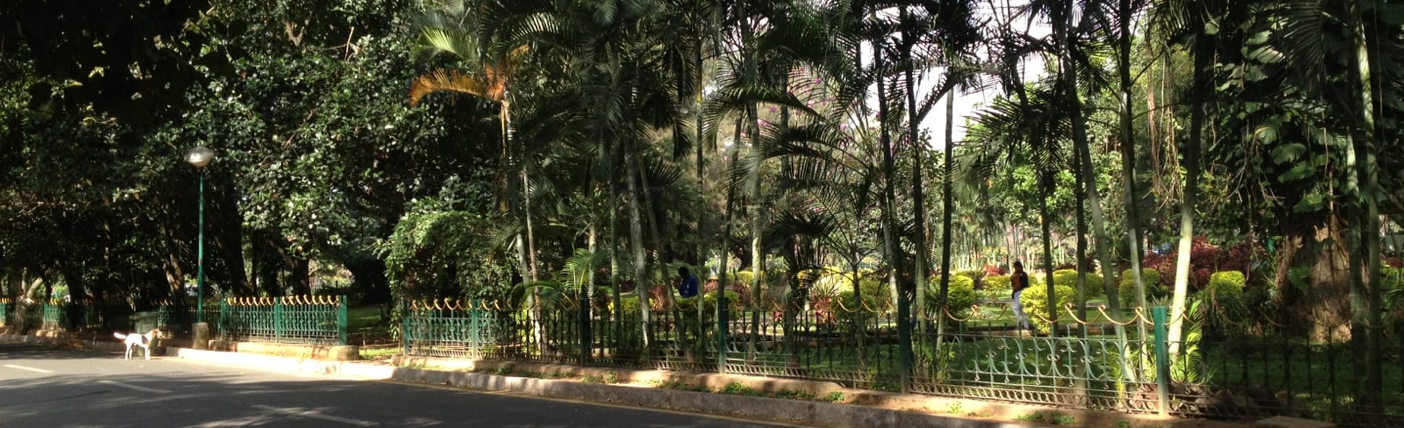 Malleshwaram Double Loop | Map, Guide - Karnataka, India | AllTrails