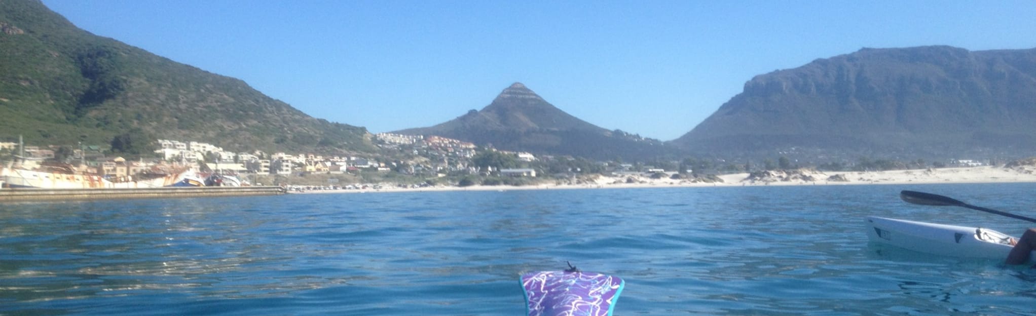 Seal Island Paddle: 35 foto - provincia del Capo Occidentale, Sudafrica ...