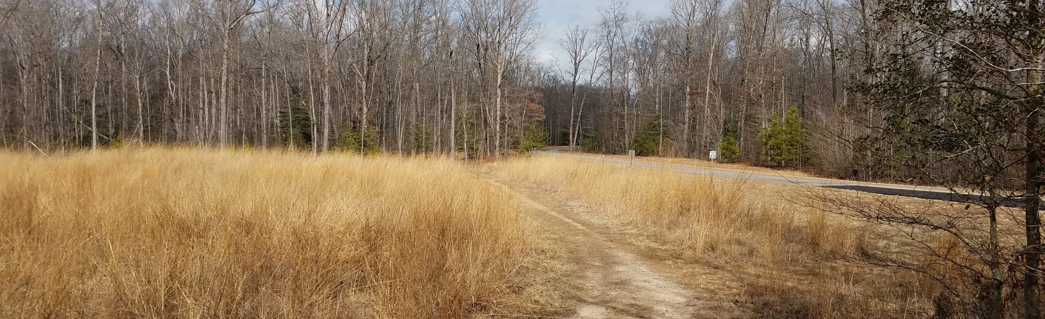 Turkey Run and Cedar Run Trail, Virginia - 52 Reviews, Map | AllTrails