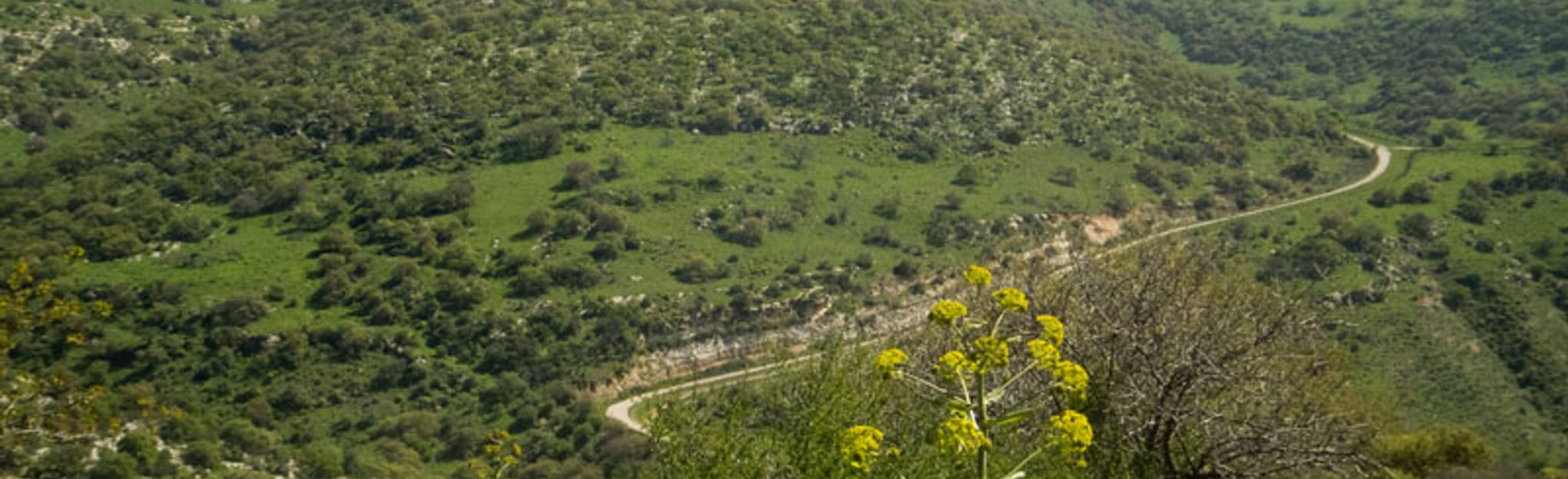 Mevo Hama to Nahal Meitzar Viewpoint, Golan Heights, Israel - Map ...