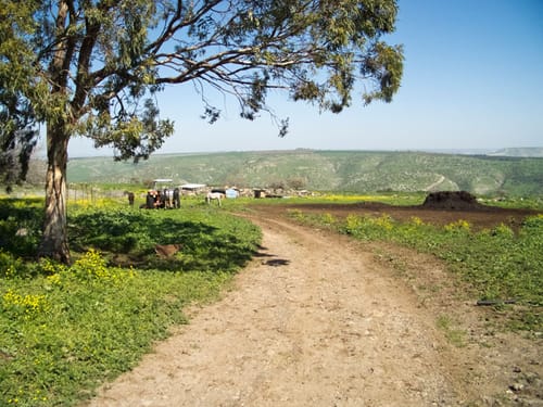 2023 Best 10 Trails, Walks, and Paths in Majdal Shams | AllTrails