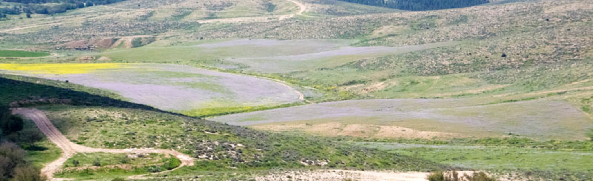 Har Amasa to Lahav via Sansana, Hebron, Palestine - Map, Guide | AllTrails