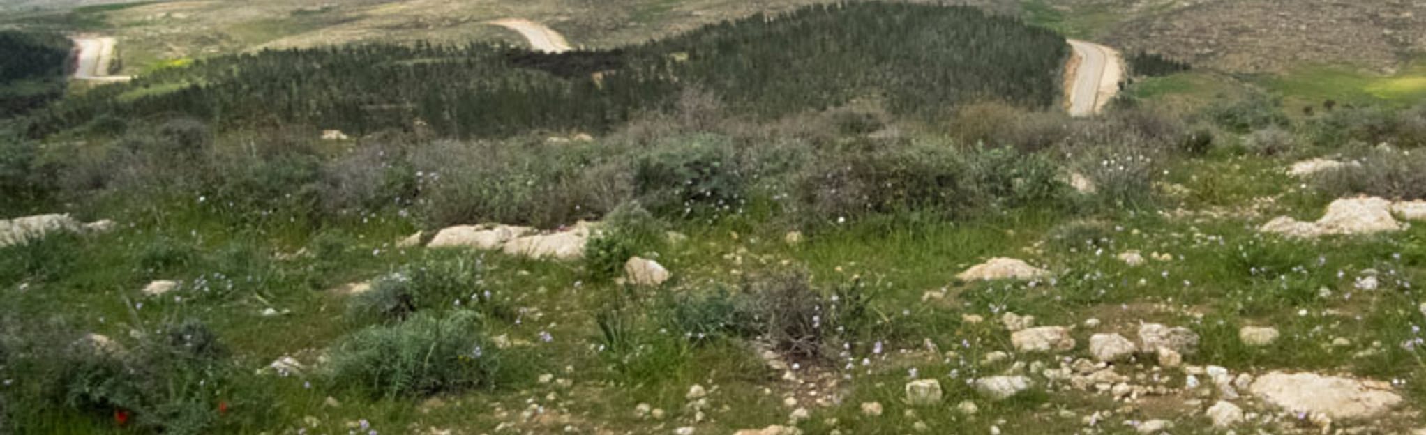 Israel National Trail: Meitar to Har Amasa, Southern District HaDarom ...