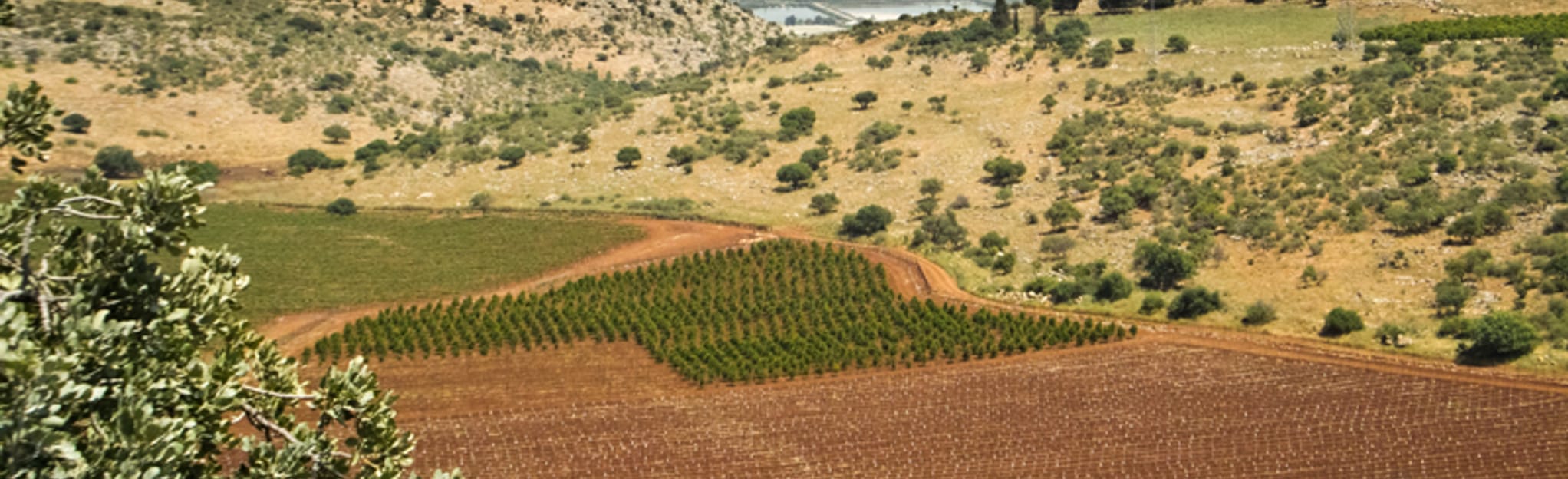 Israel National Trail: Ramot Naftali to Dishon, Northern District ...