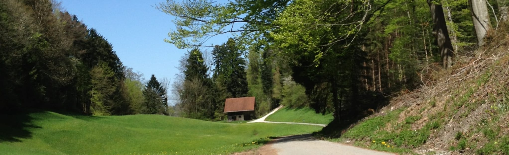 Immensee: 18 Photos - Schwyz, Switzerland | AllTrails