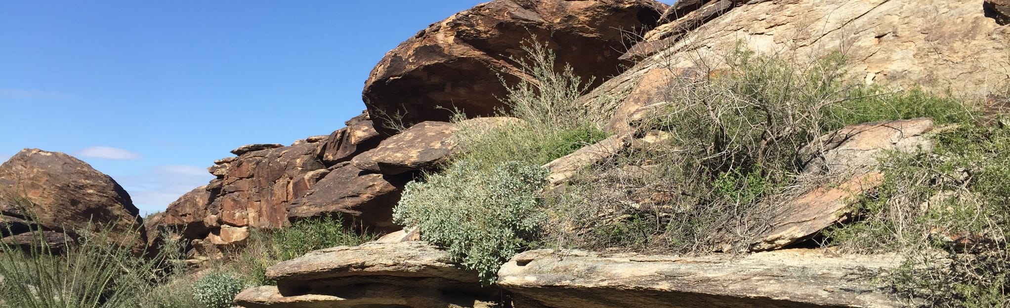 National to Hidden Valley to Mormon Loop: 1780 Reviews, Map - Arizona ...