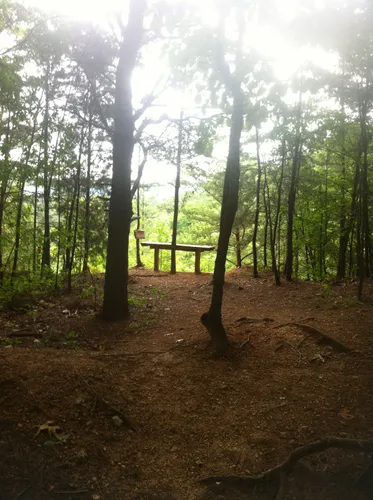 10 Best Hikes and Trails in Ruffner Mountain Nature Preserve | AllTrails