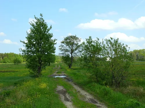 Best Hikes and Trails in Bug River Landscape Park | AllTrails