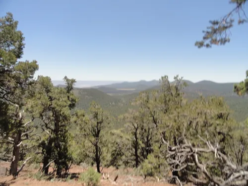 Best Hikes and Trails in Mount Trumbull Wilderness | AllTrails