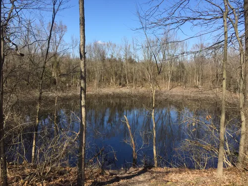 Best Hikes and Trails in Stemler Cave Woods Nature Preserve | AllTrails