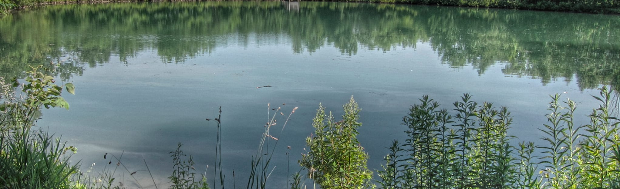 Shaker Mountain Loop via Shaker Trail, Massachusetts - 434 Reviews, Map ...