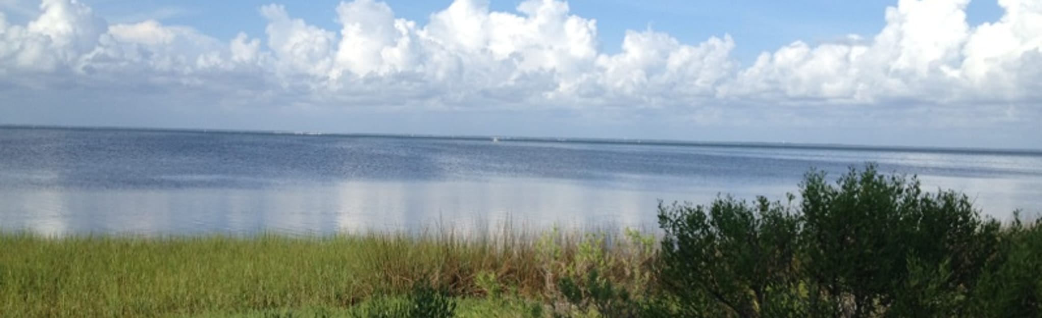 St Joseph Bay Trail, Florida - 9 Reviews, Map | AllTrails
