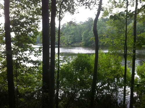 Best Hikes and Trails in Delta National Forest | AllTrails