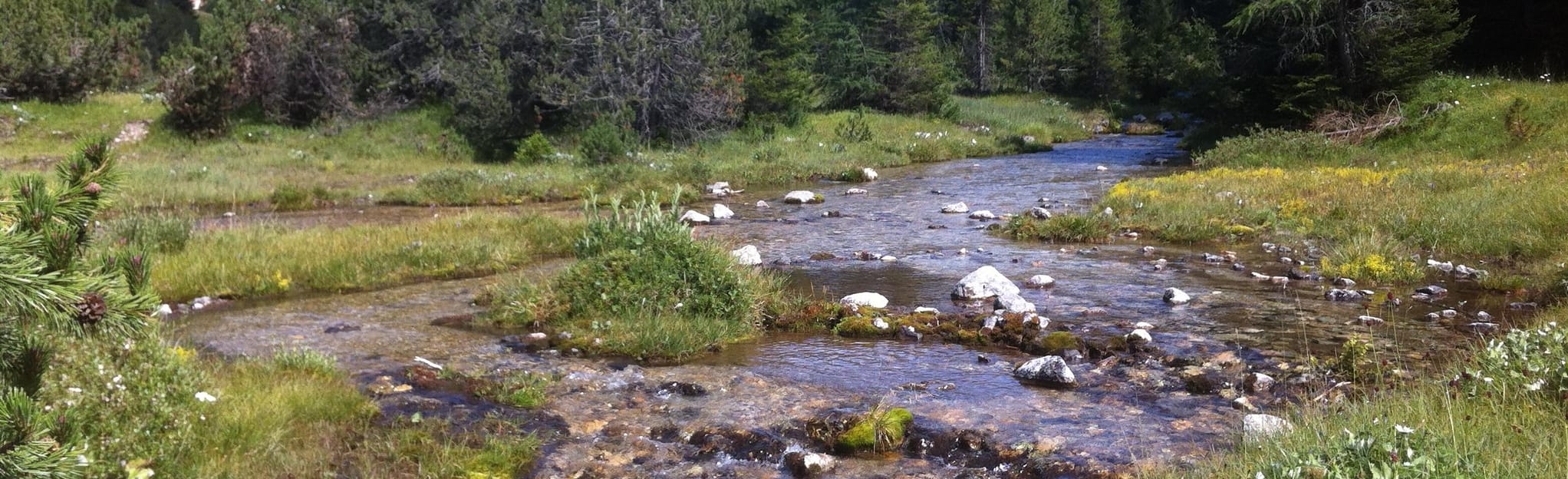 Albula Railway Adventure Trail: Filisur - Bergün - Preda, Graubünden ...