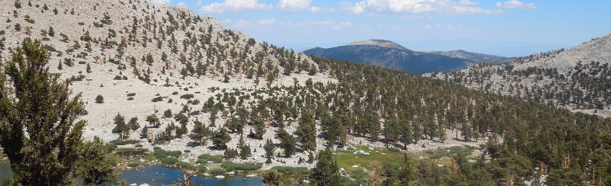 Horseshoe Meadow Loop via Trail Pass Trail, California - 109 Reviews ...