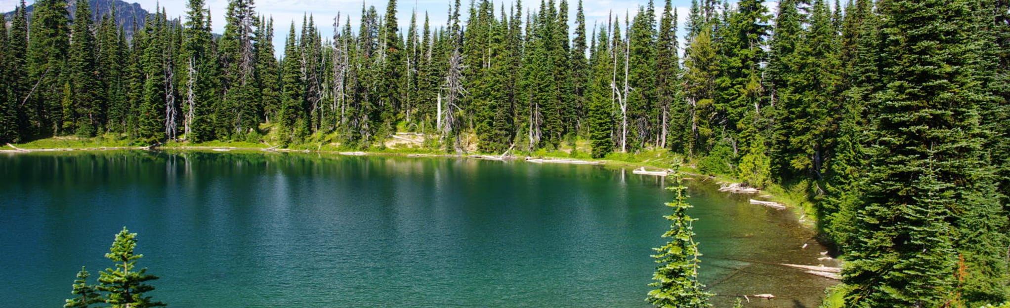Sunrise Lake Trail - Washington | AllTrails