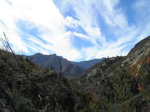 10 Best Backpacking Trails in Ventana Wilderness | AllTrails