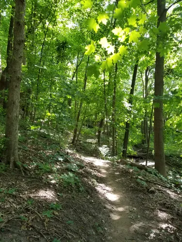 Best Hikes and Trails in Illiniwek Forest Preserve | AllTrails
