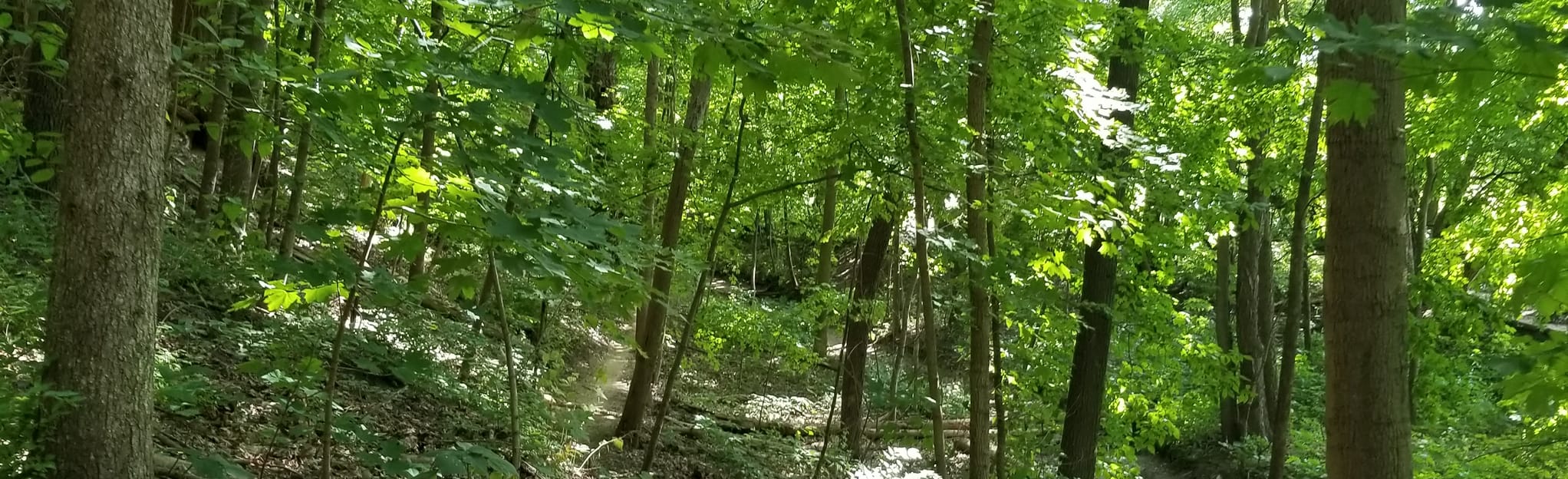 North Loop and Upper South Loop | Map, Guide - Illinois | AllTrails