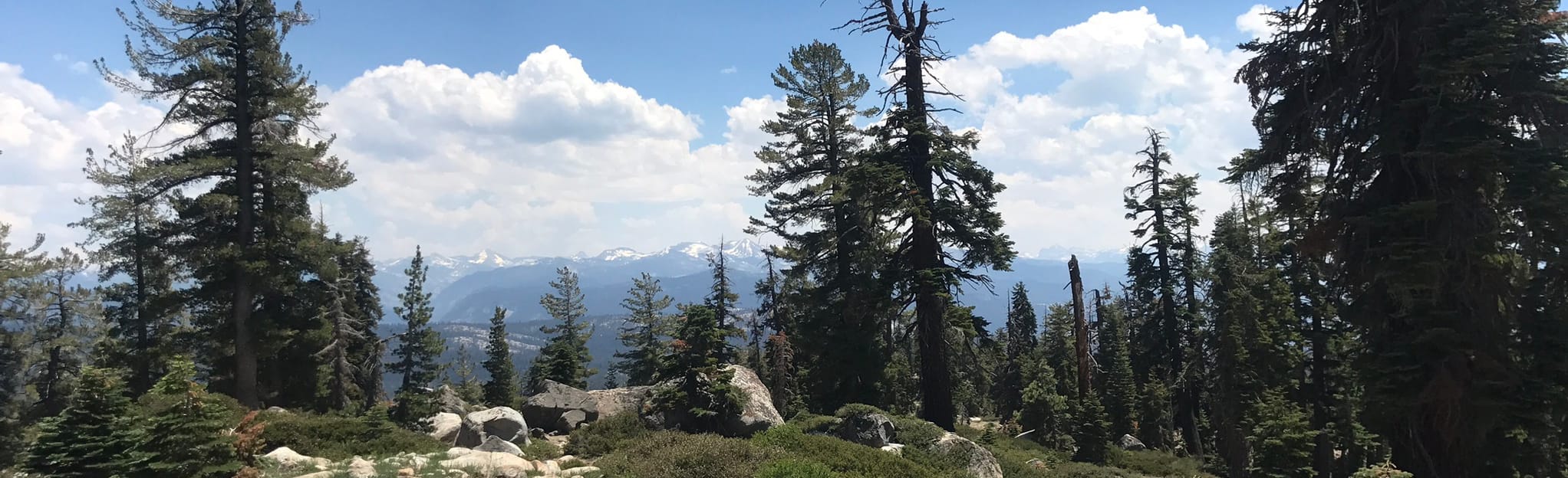 Norris Trailhead to Rainbow Lake: 3 Reviews, Map - California | AllTrails