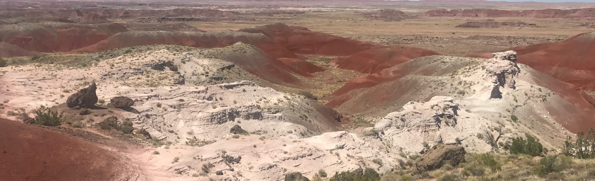 Onyx Bridge Trail, Arizona - 450 Reviews, Map | AllTrails