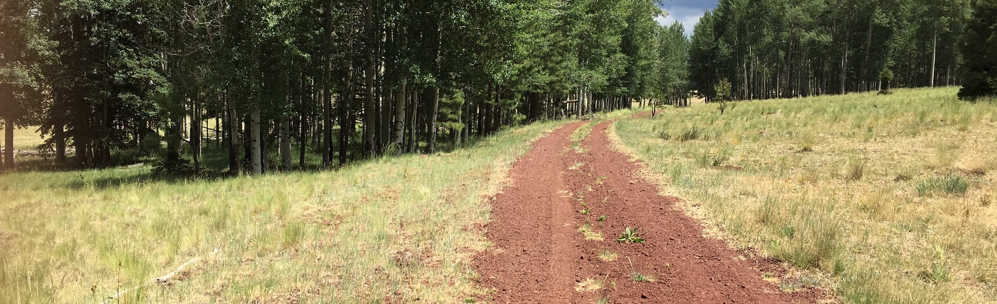 Apache Railroad Trail, Arizona - 18 Reviews, Map | AllTrails