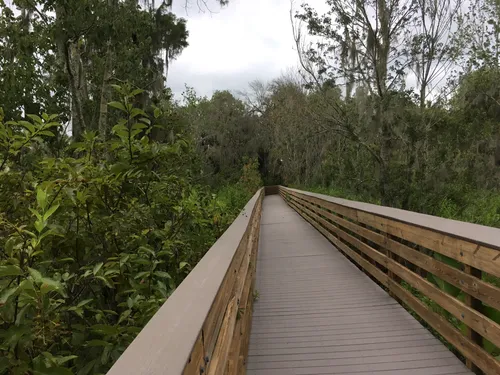 Best Hikes and Trails in Circle B Bar Preserve | AllTrails
