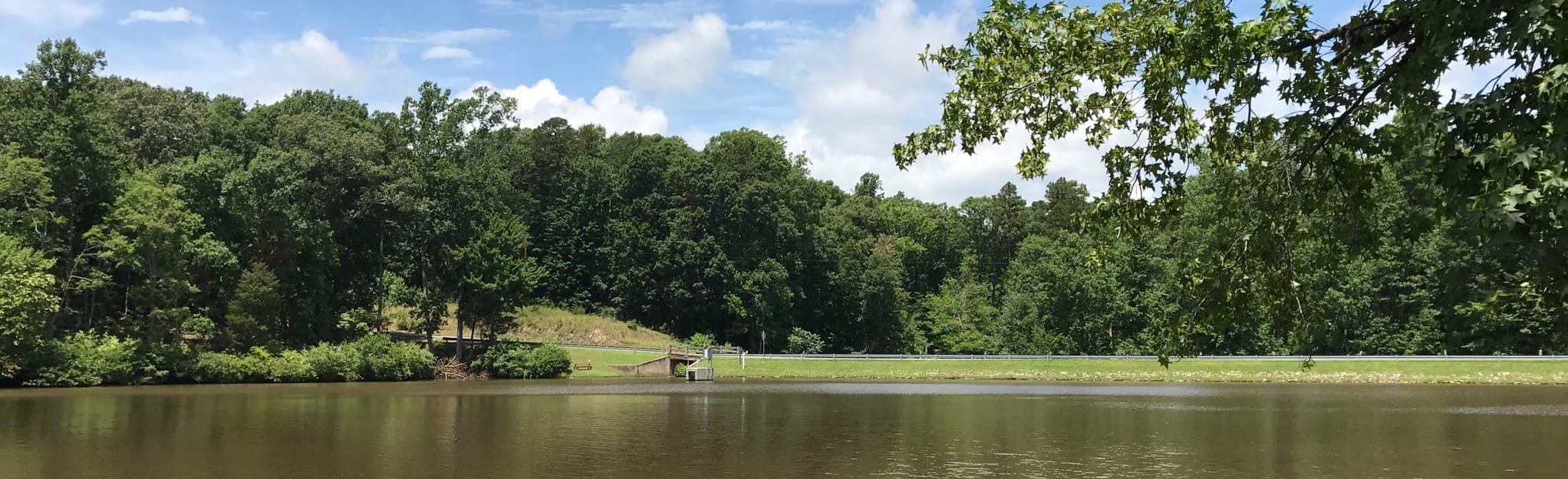 Twin Lakes State Park Loop, Virginia - 28 Reviews, Map | AllTrails