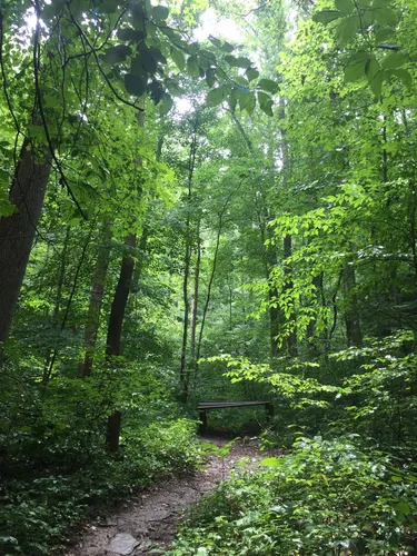 10 Best Hikes and Trails in Kanawha State Forest | AllTrails