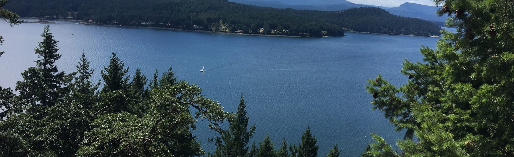 Vulture Ridge Viewpoint Trail, British Columbia, Canada - 21 Reviews ...