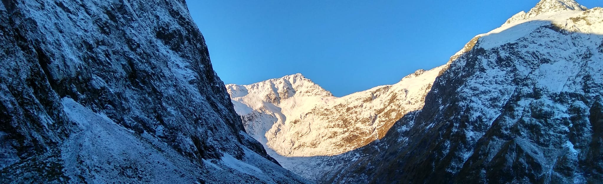Homer Saddle Track: 1 Reviews, Map - Southland, New Zealand | AllTrails
