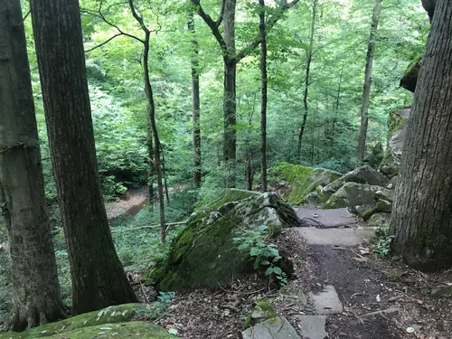 10 Best Hikes and Trails in Shawnee National Forest | AllTrails