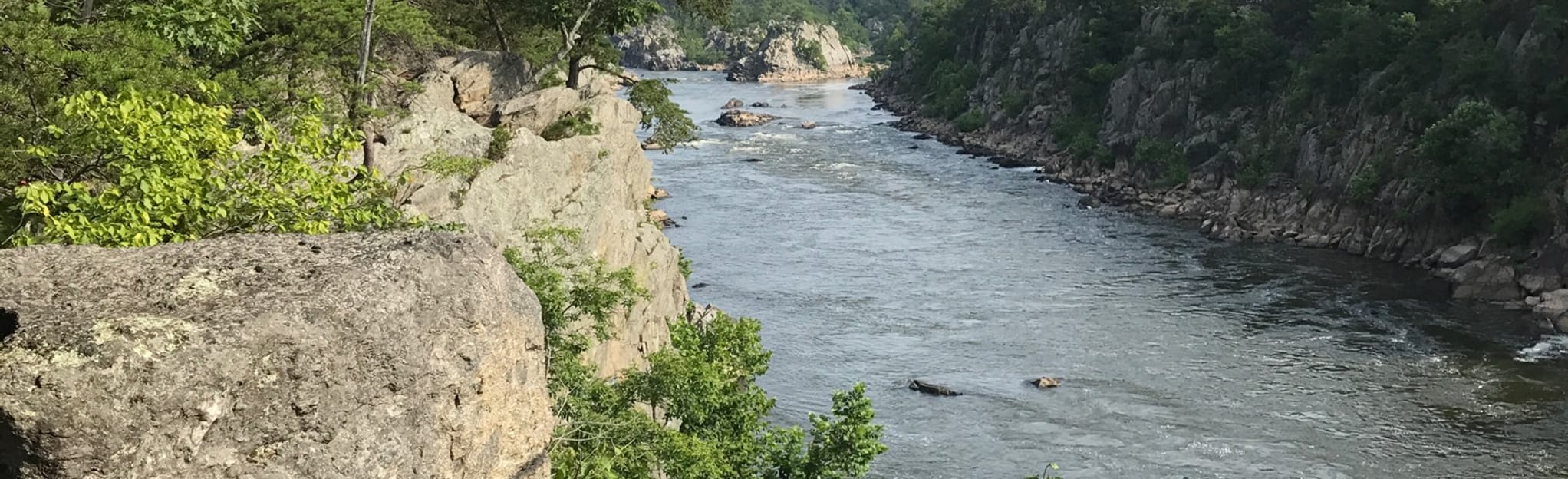 Difficult Run Trail: 653 Reviews, Map - Virginia | AllTrails