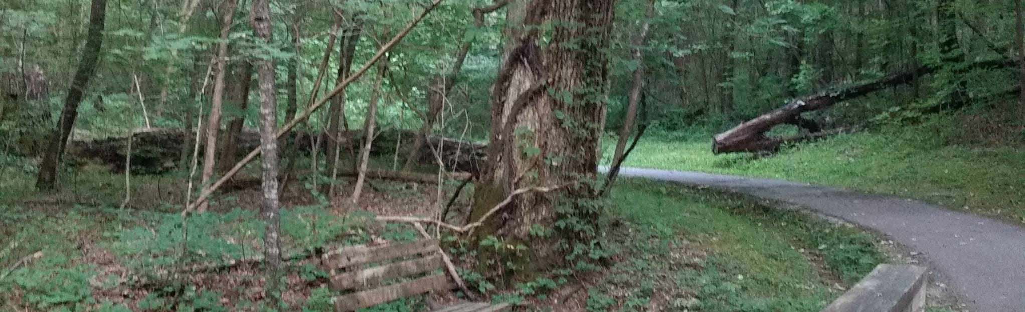 Barren River Loop: 147 Reviews, Map - Kentucky | AllTrails