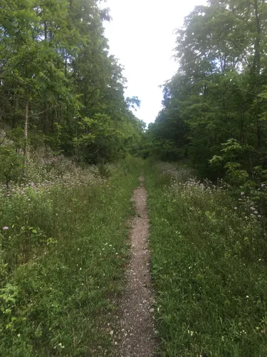 Best Hikes and Trails in Ingersoll | AllTrails