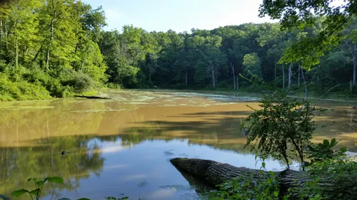 Best Hikes and Trails in Miami Whitewater Forest Park | AllTrails