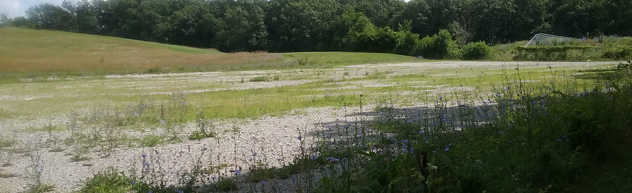 Franke Park Area Trails, Indiana - 403 Reviews, Map | AllTrails