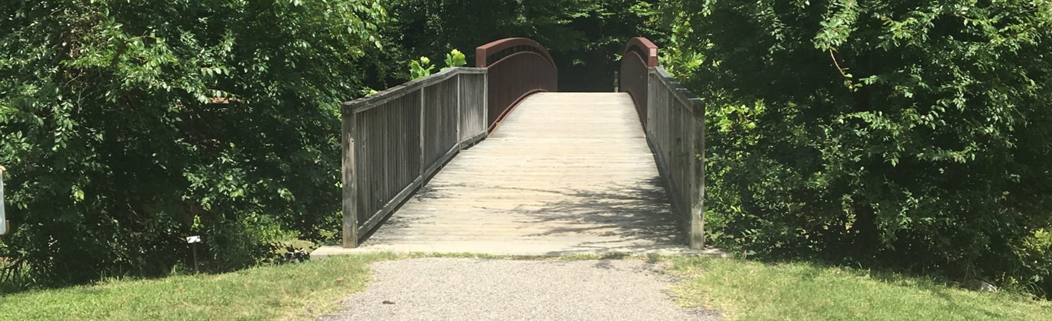 Forest Exploration Trail to Loop Forest Trail: 458 Reviews, Map ...