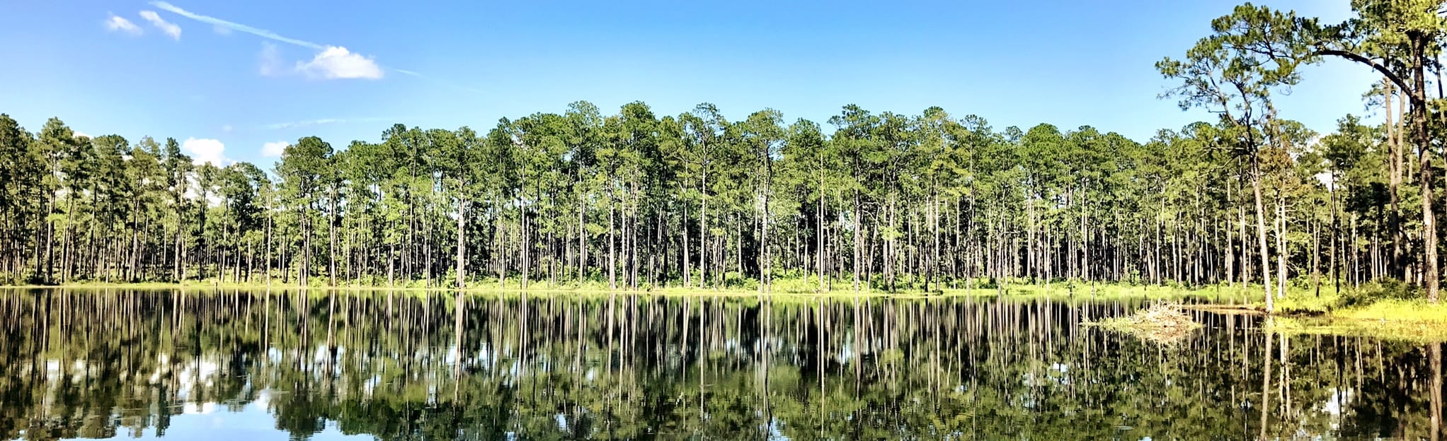 South Conecuh to Open Pond Trail, Alabama - 15 Reviews, Map | AllTrails