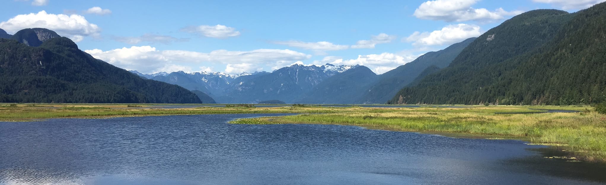 Katzie Marsh Loop, British Columbia, Canada - 347 Reviews, Map | AllTrails