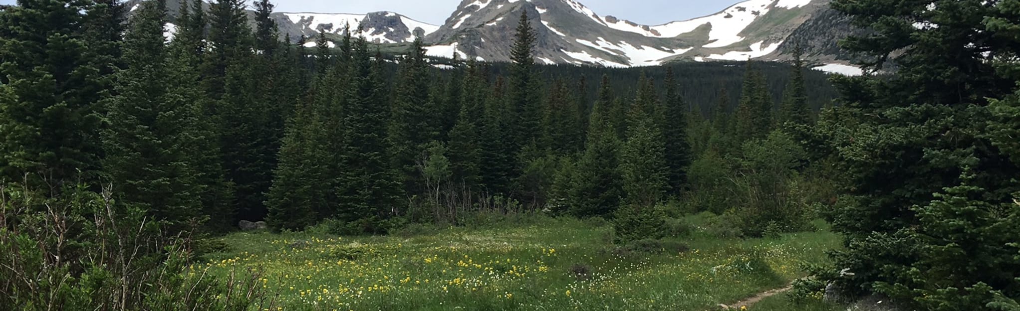 Buchanan Pass Trail and Forest Road 507, Colorado - 41 Reviews, Map ...