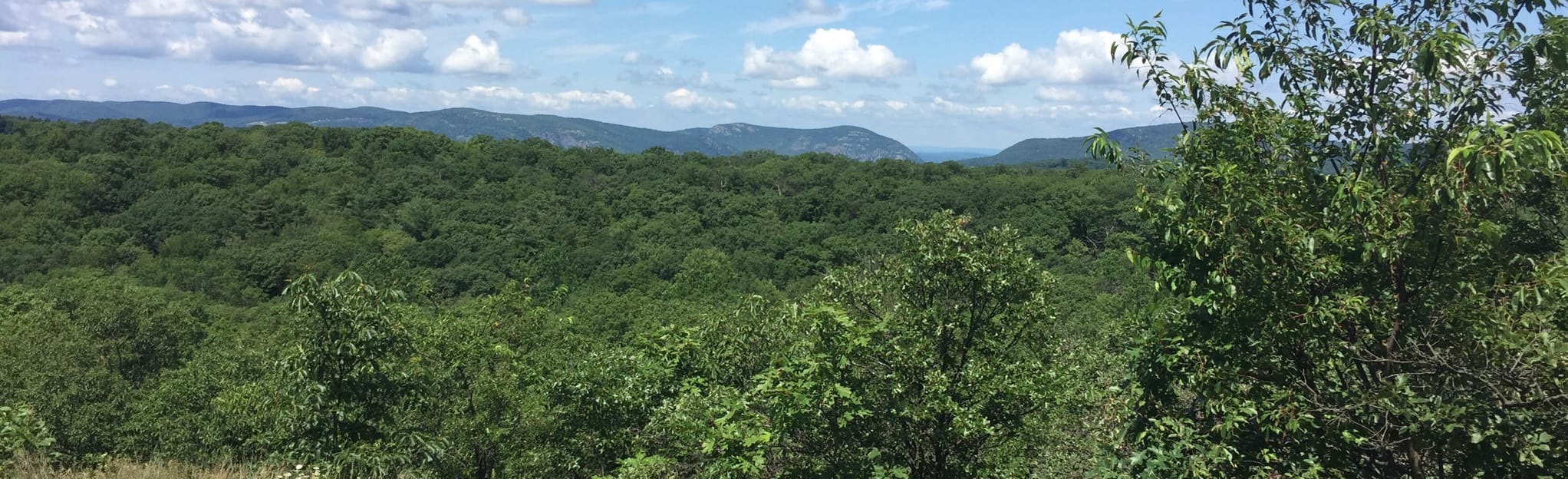 Chimney Top Trail, New York - 166 Reviews, Map | AllTrails