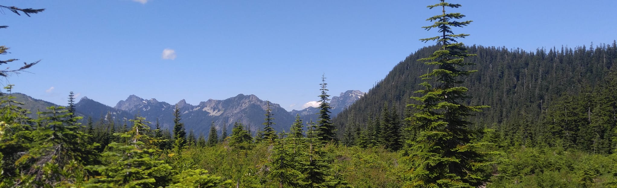 Silver Peak via Cold Creek and Pacific Crest Trail, Washington - 111 ...