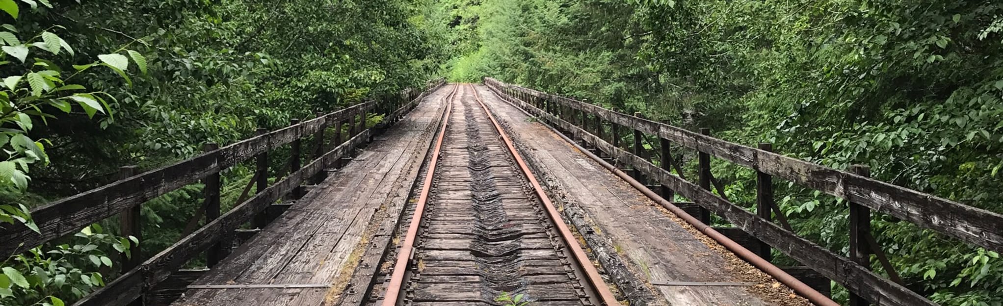 Salmonberry River Trail: Beaver Slide Road to Cochran Road [CLOSED ...