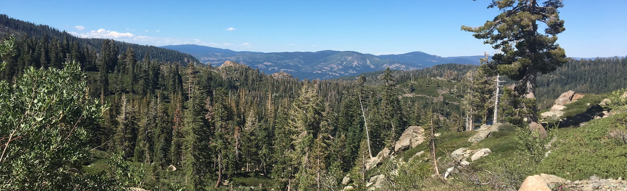 Round Lake Trail: 46 Reviews, Map - California | AllTrails